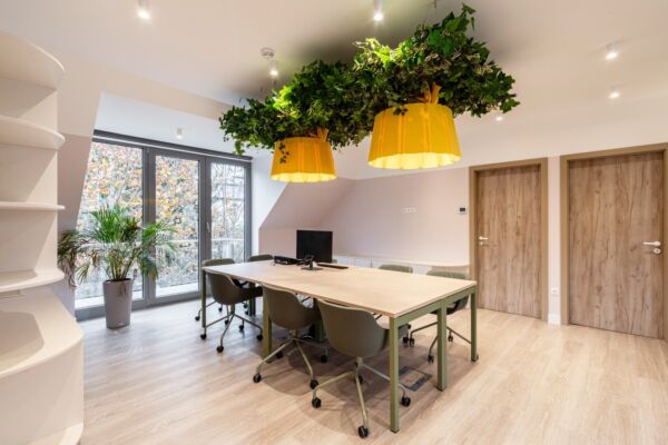Budapest attic office, Pivot270, photo. Tamási Viktória