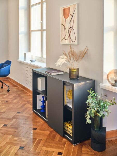 Mito managerial cabinet | .mdd | MDD