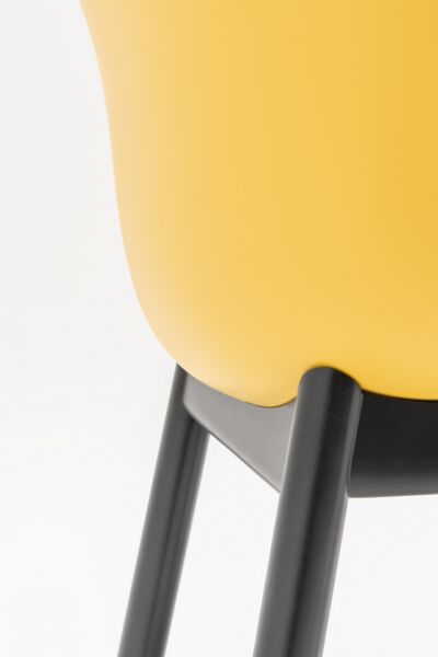 Baltic Basic with wooden base | MDD