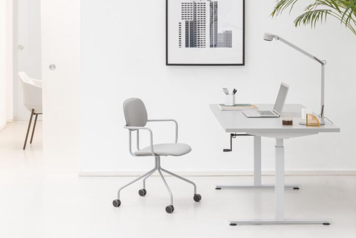 Ogi Drive family | MDD