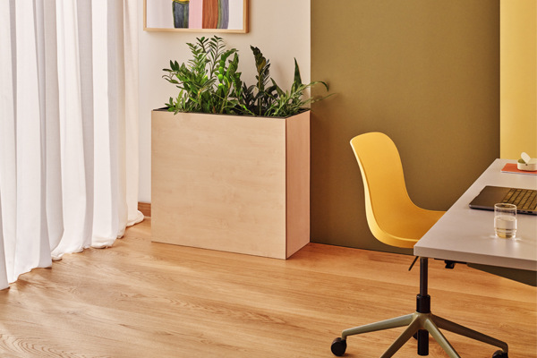 Plant Pots for Offices - Decorative Office Planters | .mdd