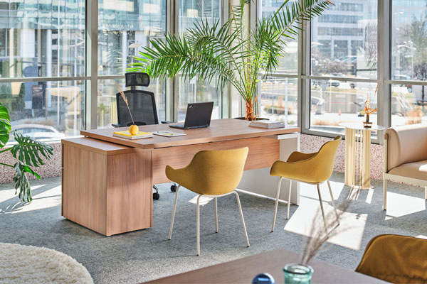 Executive Desks - Modern Executive Office Desks | .mdd