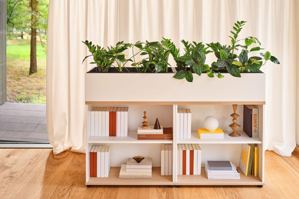 Plant Pots for Offices - Decorative Office Planters | .mdd