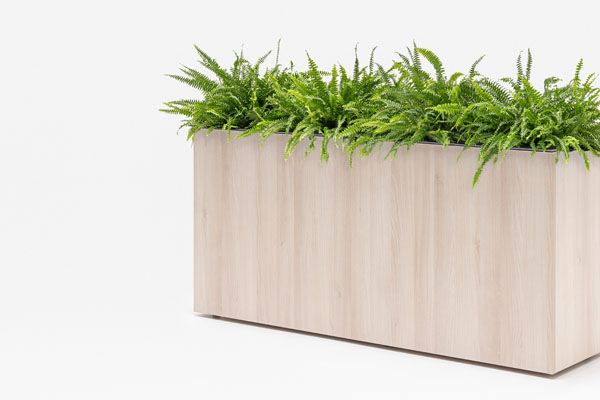Plant Pots for Offices - Decorative Office Planters | .mdd