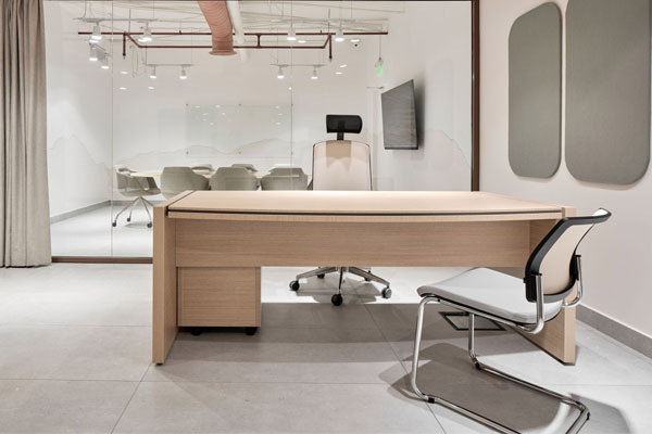 Executive Desks - Modern Executive Office Desks | .mdd